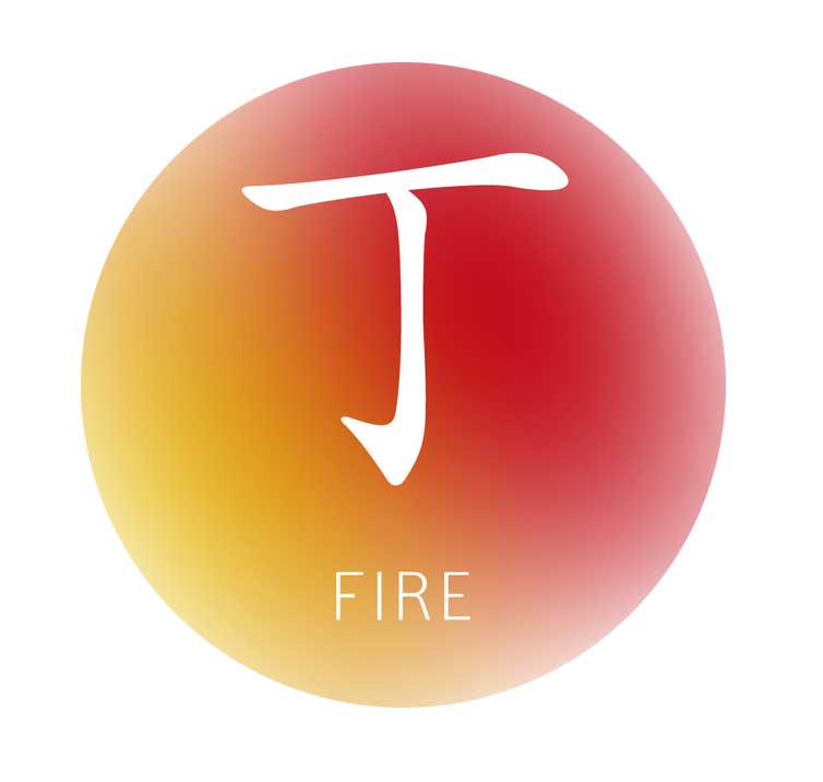 Ding people (Yin Fire Self) - Chinese Astrology