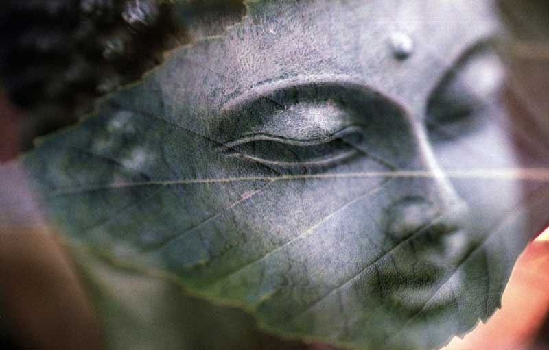 Judgement Positive And Negative Chinese Astrology